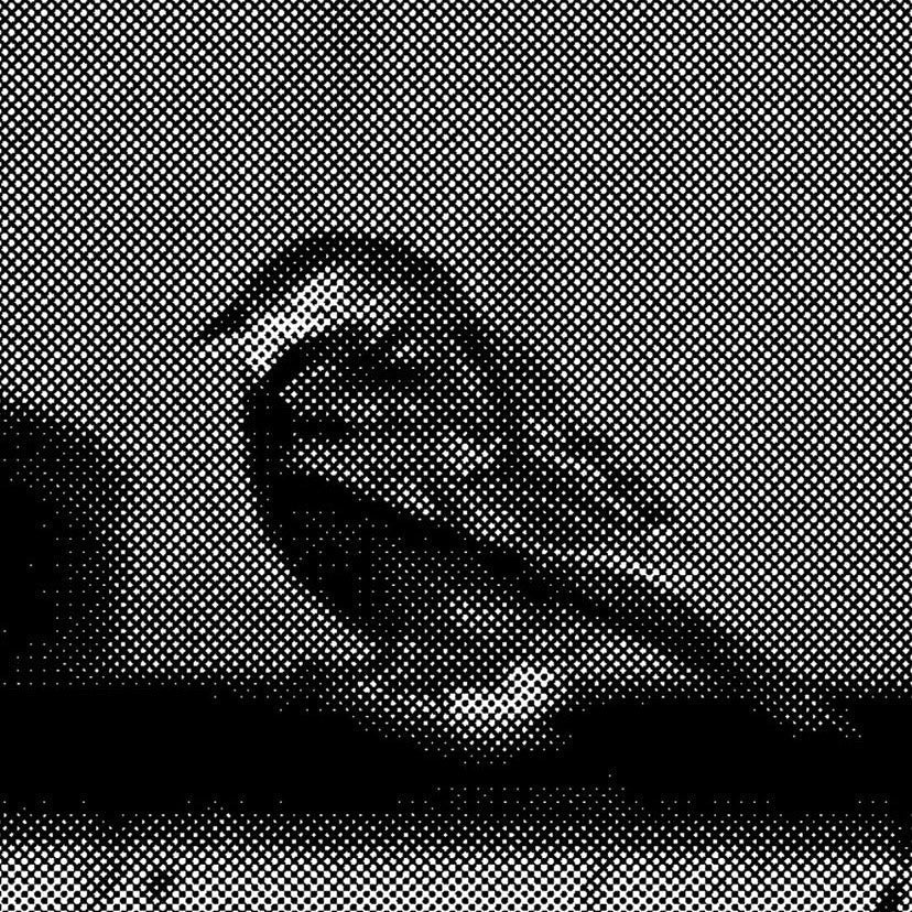 Unusual Birds by Andrew Meyer featuring Tyler Dietterich, Paris Summer ...