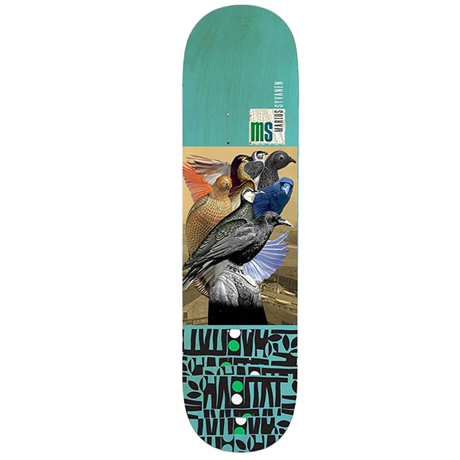 Kinetic Skateboarding – Kinetic / Nocturnal